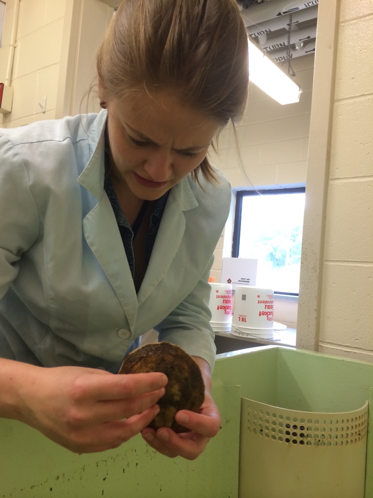Lab Members – Bradbury Population Genomics Lab